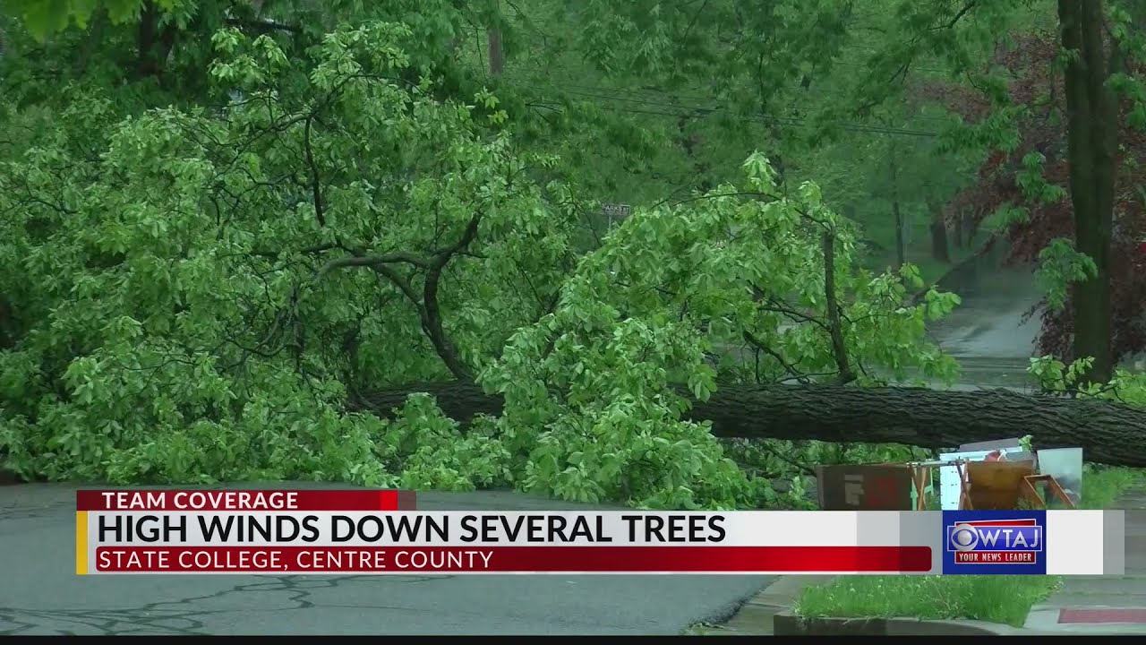 Live at noon high winds uproot several trees in Central PA - YouTube