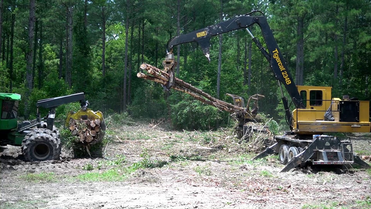 Tigercat Loader Delimbing Monster Pulpwood ! - YouTube