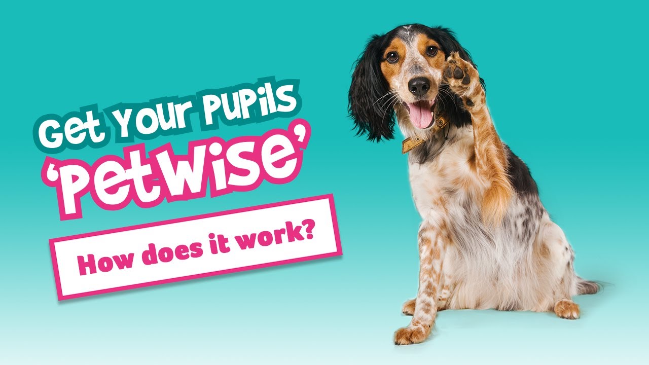 PDSA PetWise For Schools - How Does It work? - YouTube