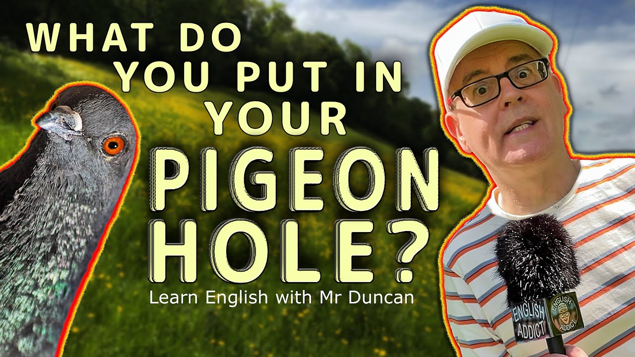 What do you put in your pigeonhole? - (Pigeonhole) A new English word ...