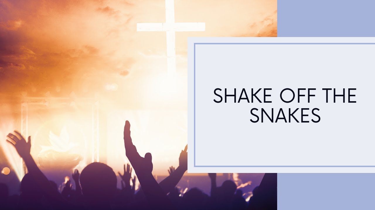 SHAKE OFF THE SNAKES - YouTube