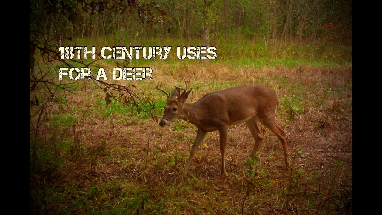 18th Century Uses Of a Deer - YouTube