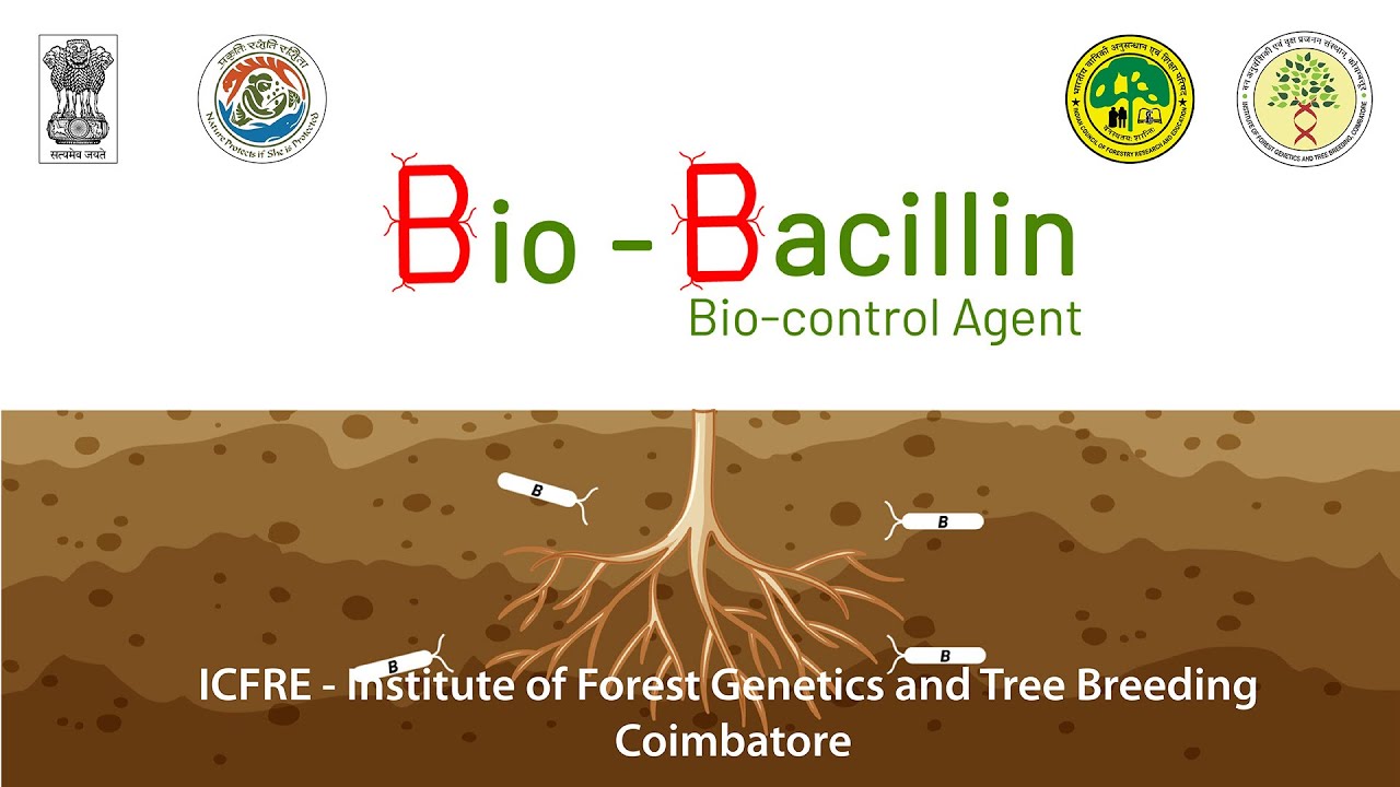 Bio Bacillin- BIO CONTROL AGENT - YouTube