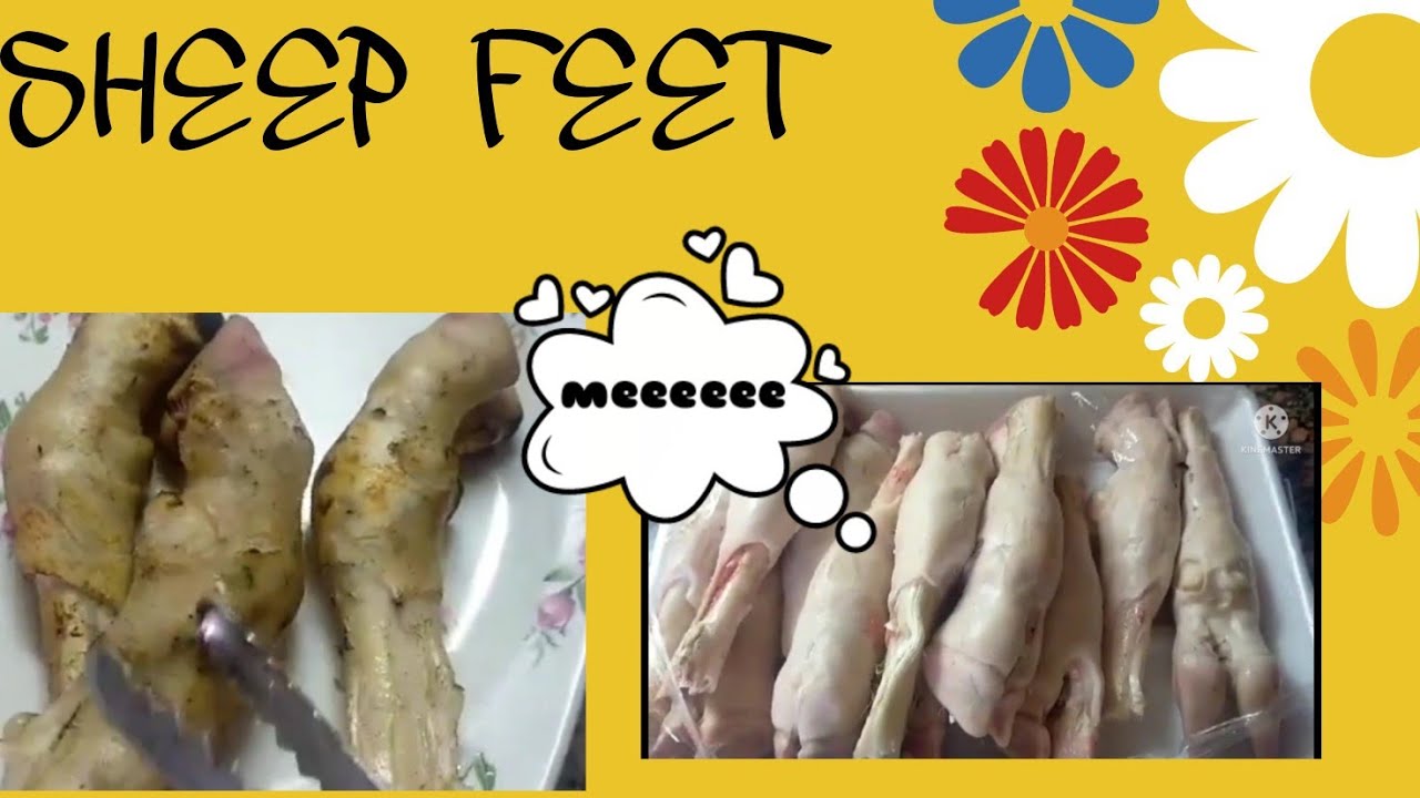 cleaning for the sheep feet good nutrient for the our bone Mimies ...