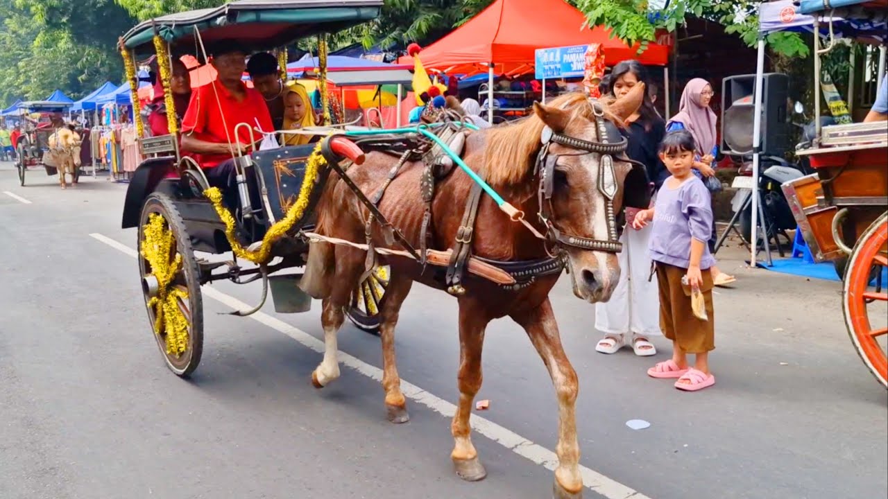 Naik Kereta Kuda - Lagu Naik Delman Istimewa - Dokar - Lagu Naik Kuda ...