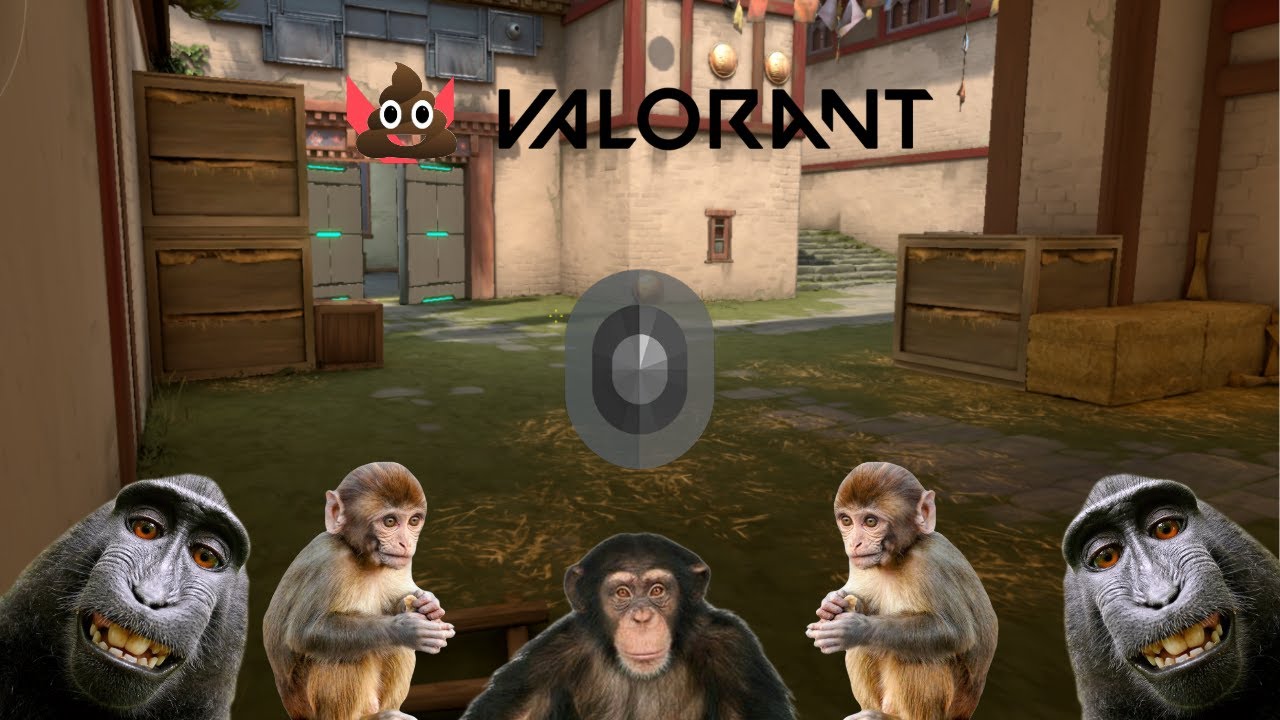 playing valorant with more monkeys | Comp Edition - YouTube