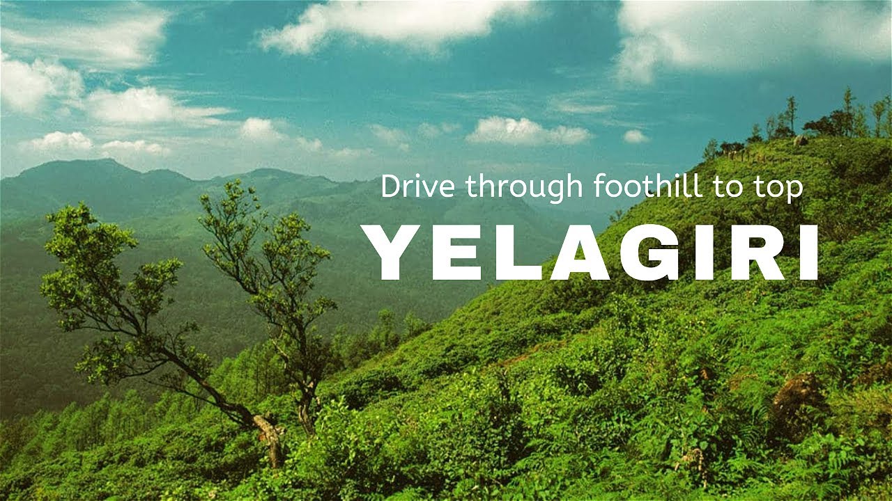 Drive through Yelagiri Hills | From Foothill To Top | Near Bangalore ...