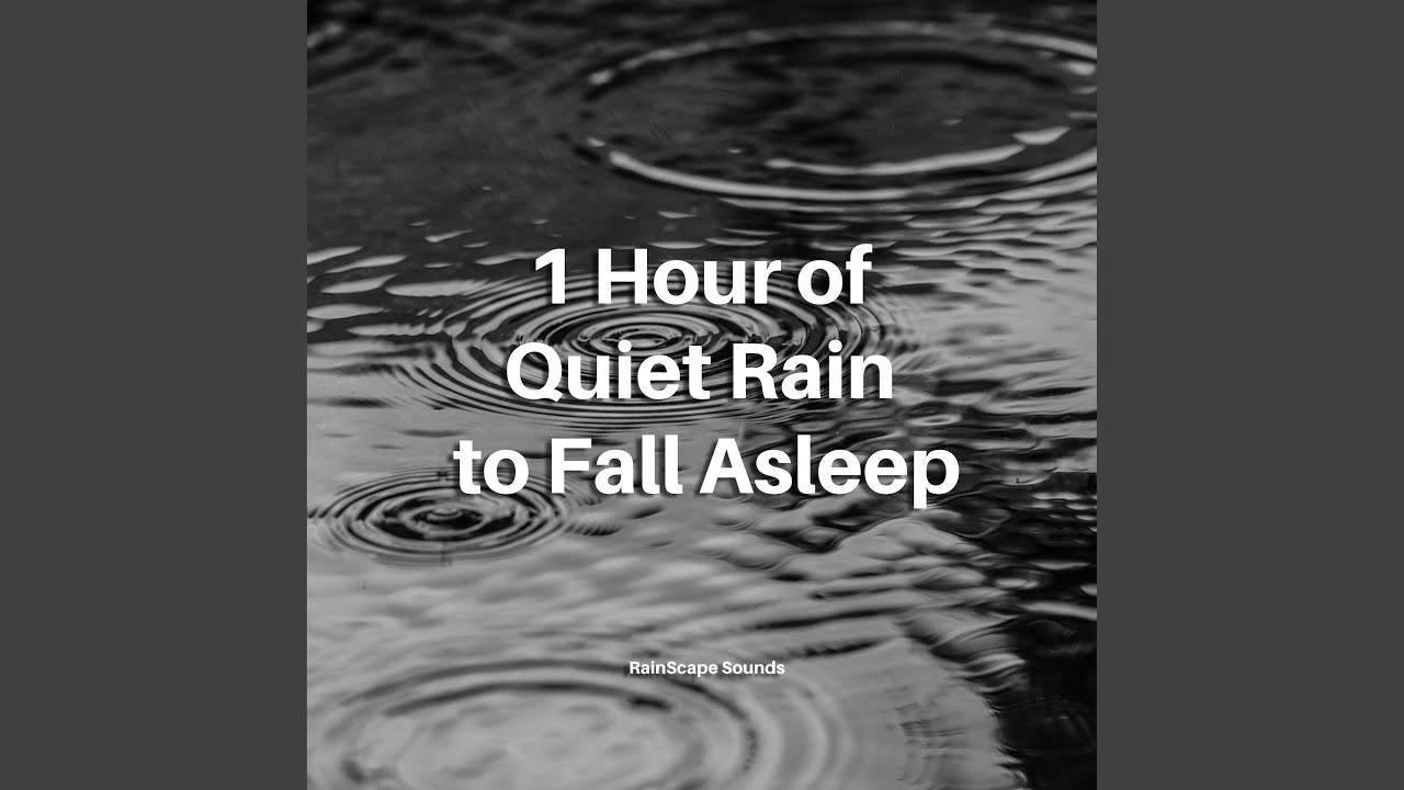 1 Hour of Quiet Rain to Fall Asleep - YouTube