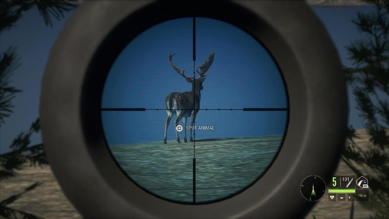 theHunter: Call of the Wild harvest a diamond Fallow deer and findeing ...