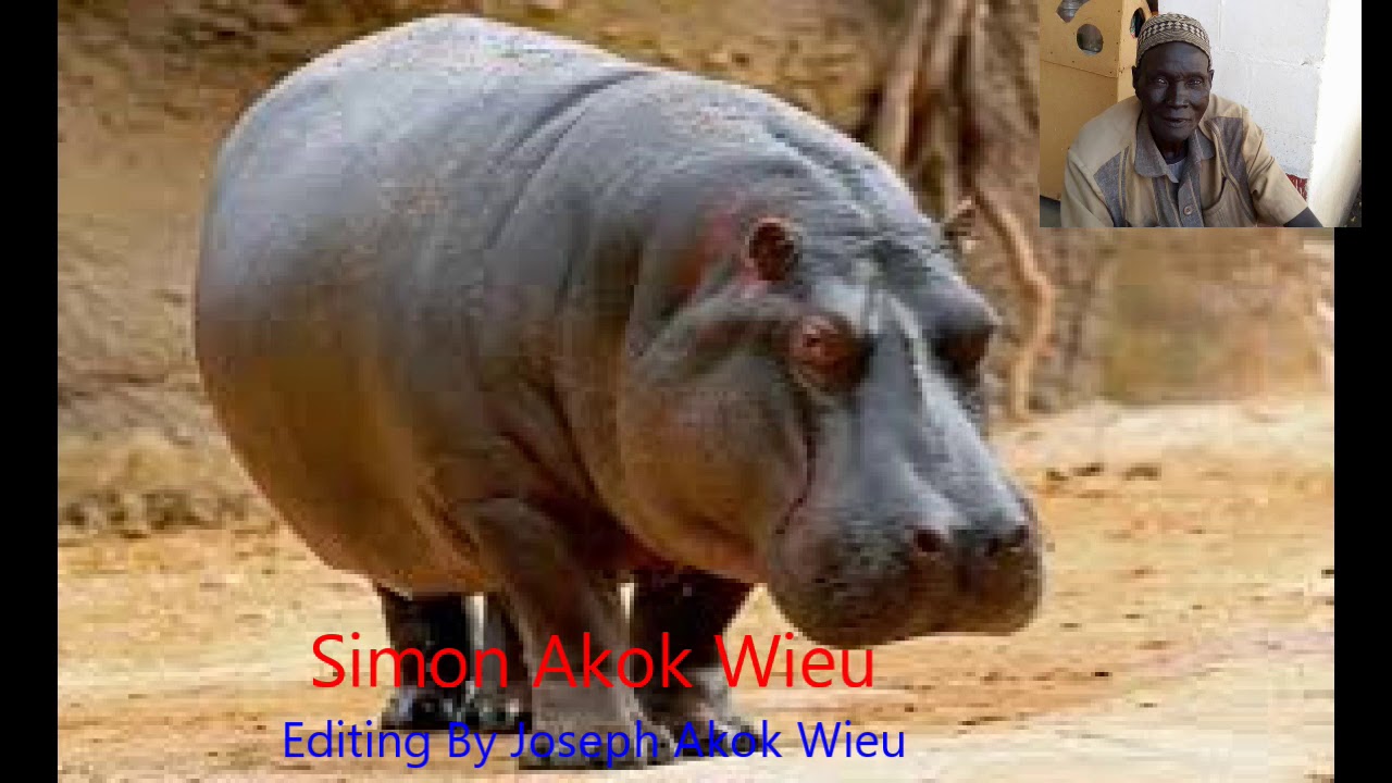 Dinka N.U.N (Renk) Simon Akok Wieu Diing - YouTube