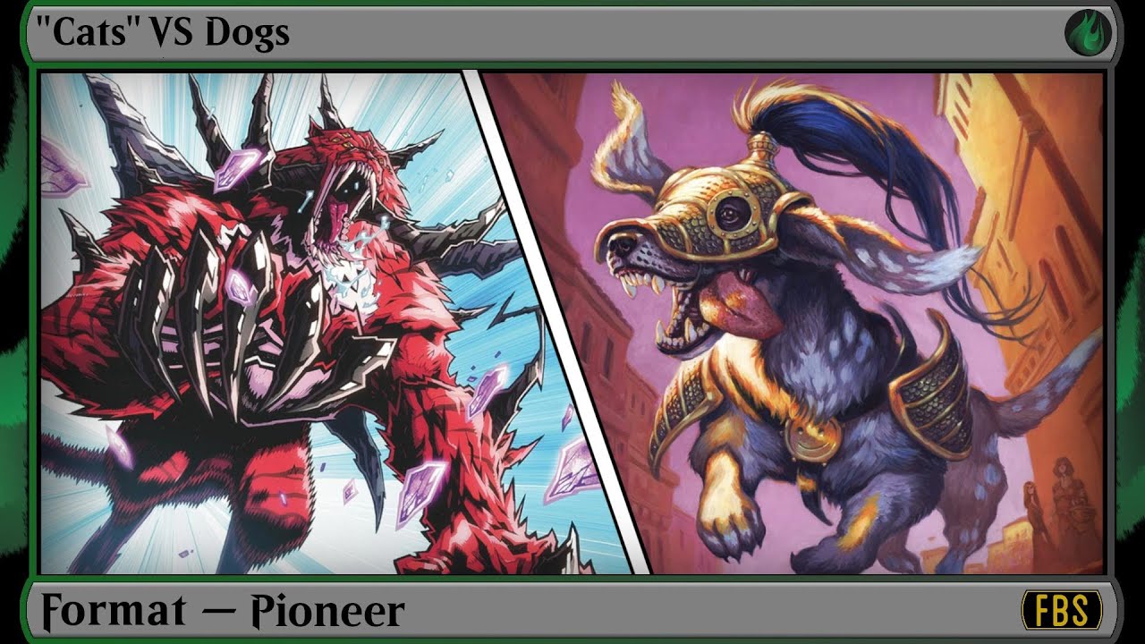MtG Pioneer Gameplay - Mutant Cats VS Dogs - YouTube
