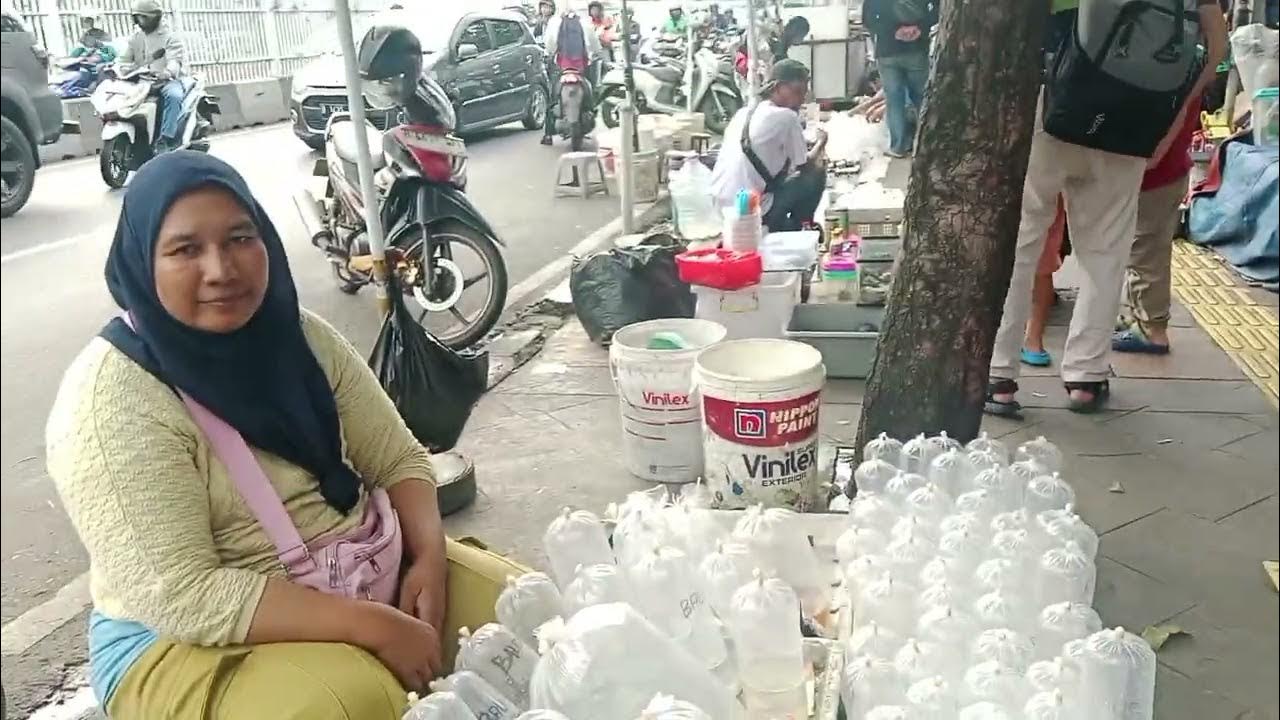 jalan- jalan ke pasar ikan hias jatinegara persiapan tahun baru part ke 1 ☺☺ - YouTube