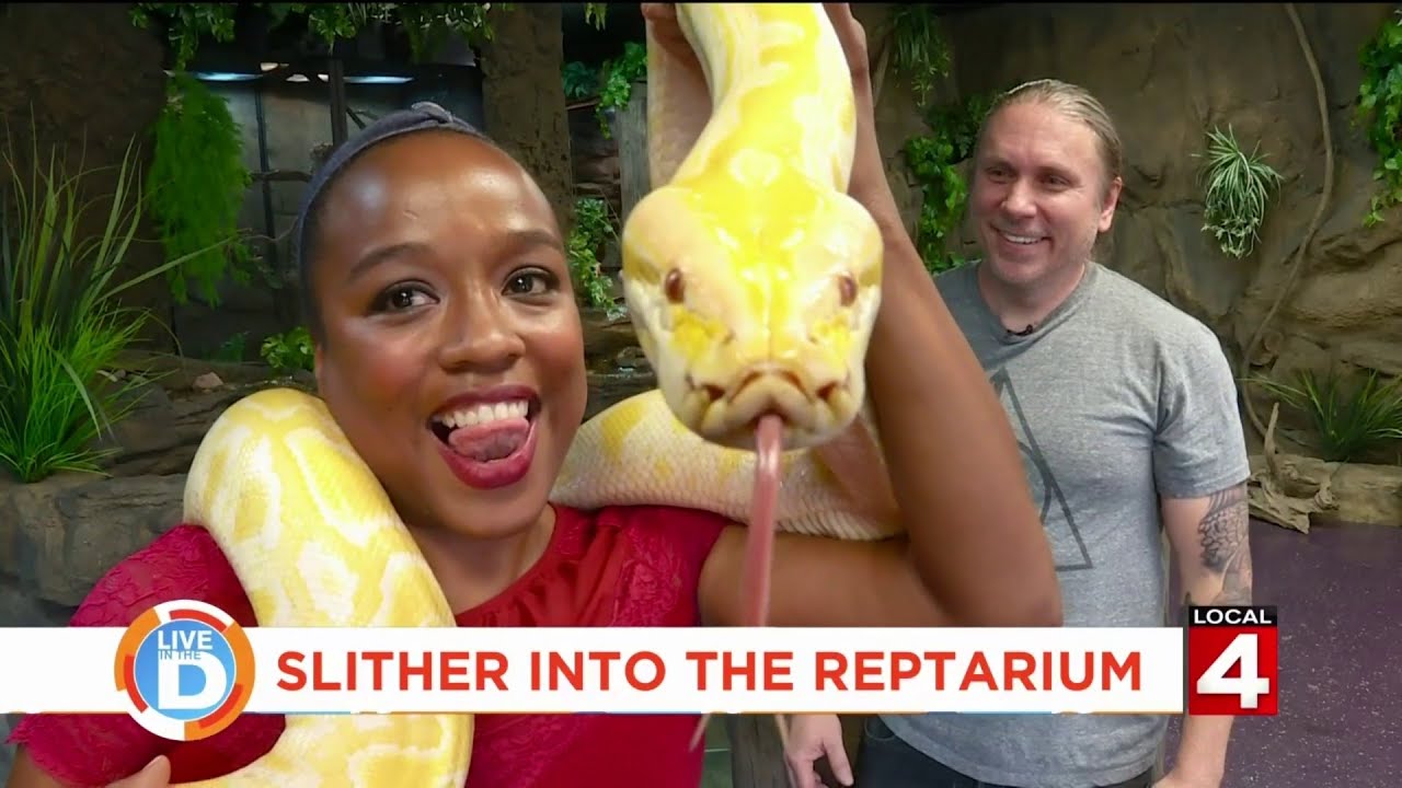Live in the D: Slither into the reptarium - YouTube