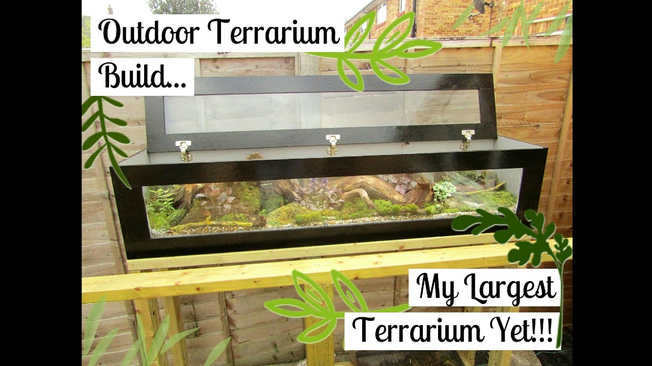 Large Outdoor Terrarium Build - YouTube