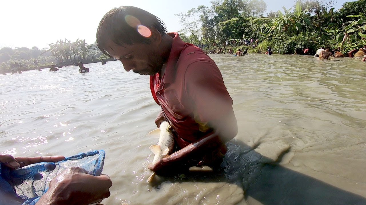 Traditional Fishing By Lot of People Amazing Fishing Life - YouTube
