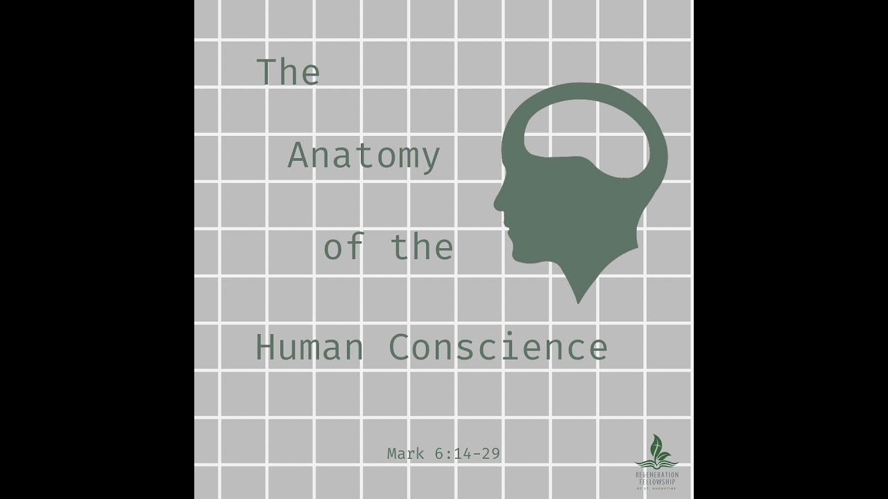 The Anatomy of the Human Conscience - YouTube