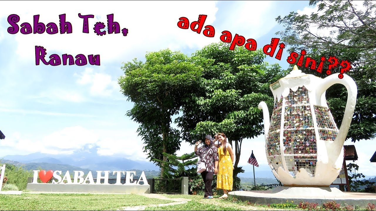 Sabah Teh, Ranau. Sabah - YouTube