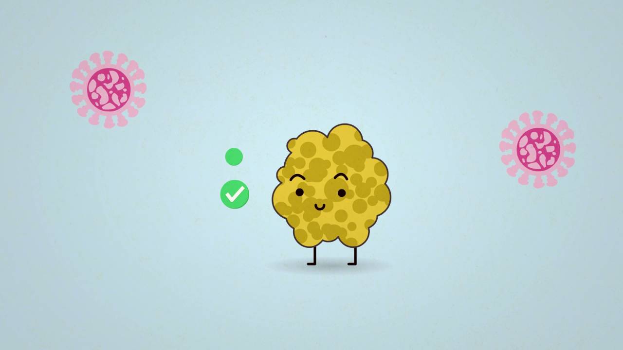 Science in 1 minute: what are lichens? - YouTube