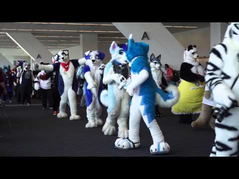 Anthrocon 2015 Fursuit Parade (HD) - YouTube
