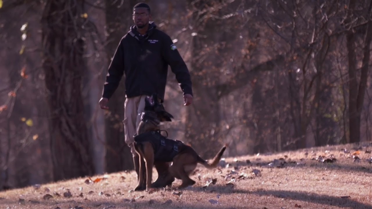 Calvin Wilbon is 1st Mind K9 - YouTube