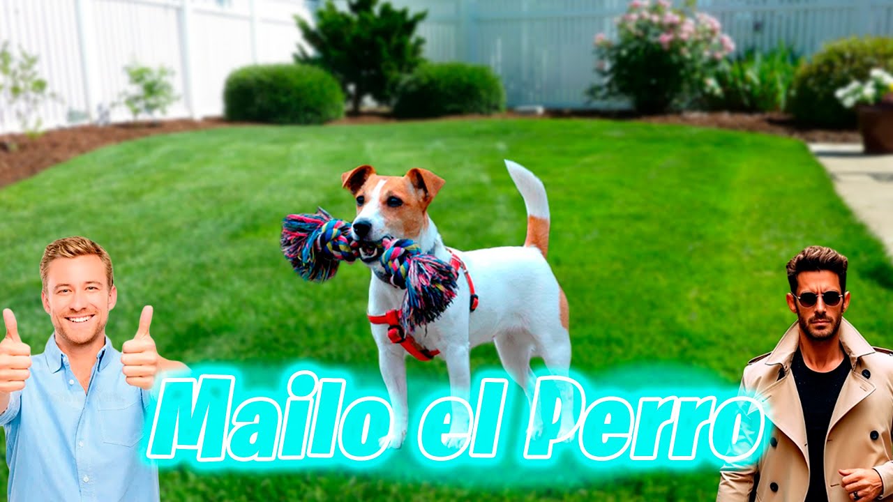 Mailo el Perro 🐕🐕 - YouTube