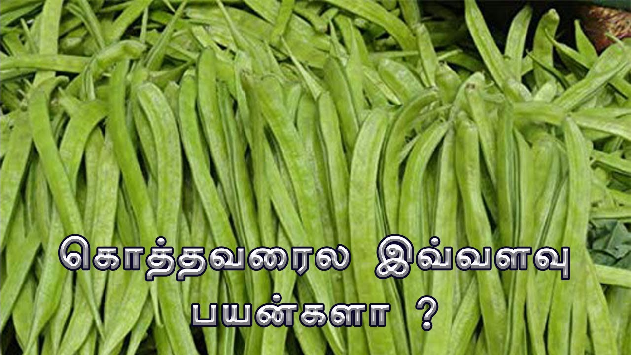 guar beans benefits | guar beans in tamil | guar beans nutrition ...
