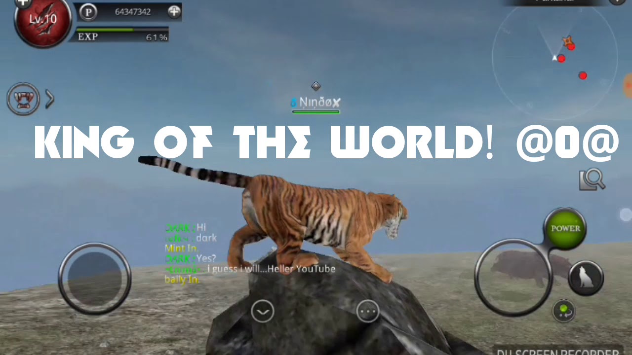 Wild Animals Online - Tiger Gameplay - | Double Upload | +Successful ...