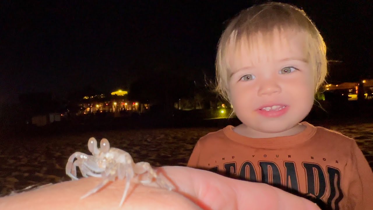The Cutest Crab Made My Baby Boy Laugh Out Loud! - YouTube