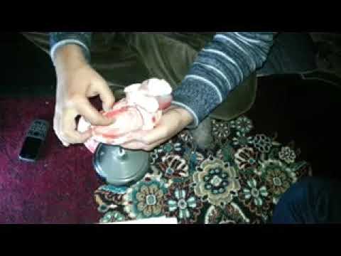 yurak anatomiyasi 3-qism BAHTIYOR NORBEKOVICH TIBBIYOT FALARI TV - YouTube