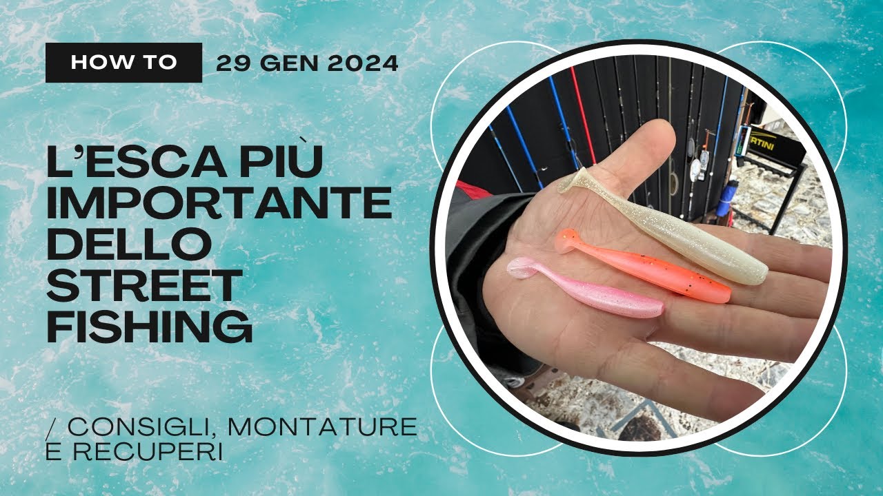 STREET FISHING - Come utilizzare l'esca più polivalente di tutte: lo ...
