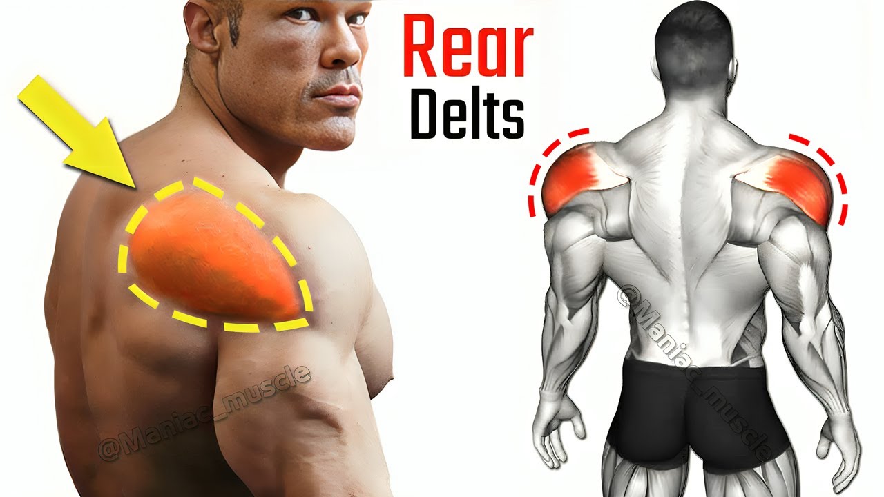 11 BEST Exercises for REAR DELTS ( Perfect Workout ) - YouTube