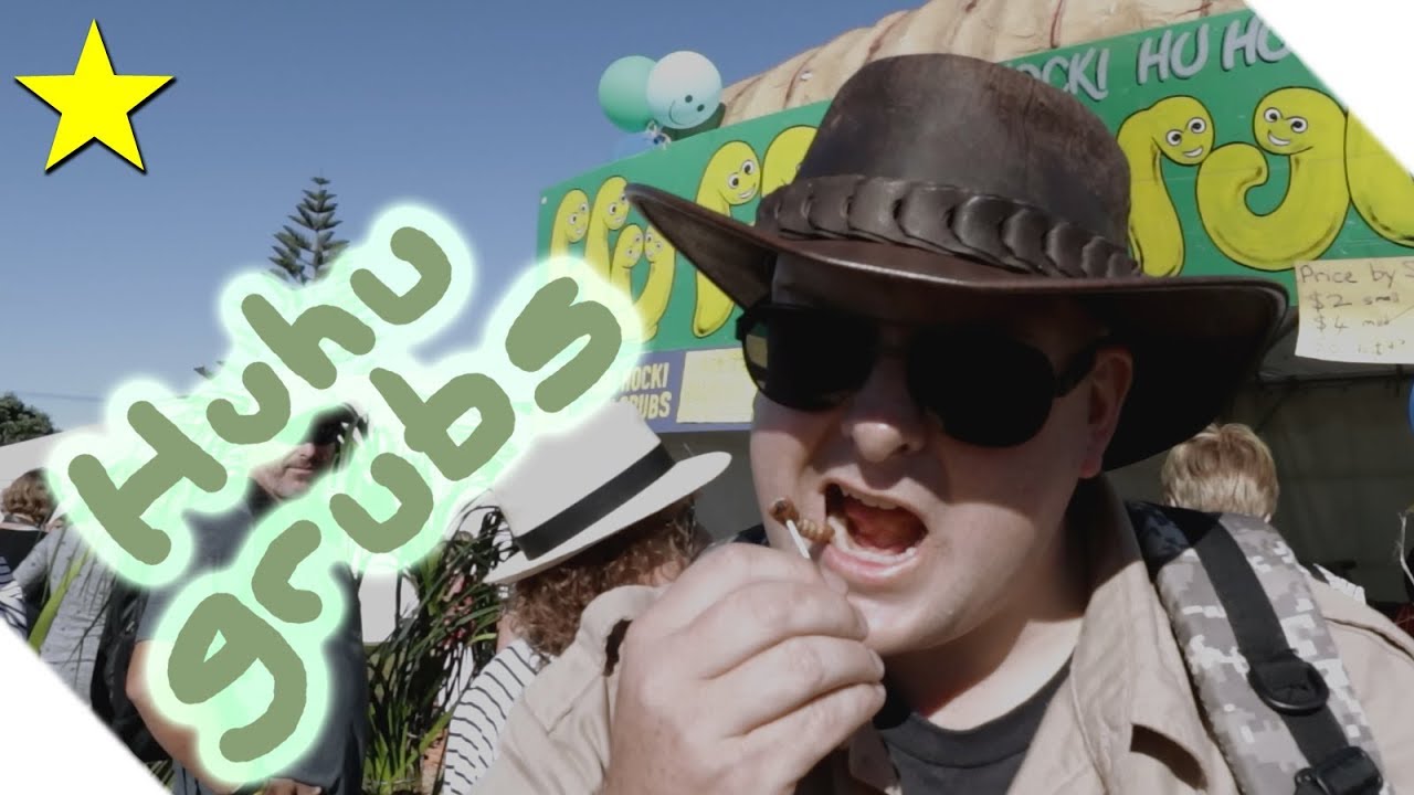 What do huhu grubs taste like - Hokitika wildfoods festival - YouTube