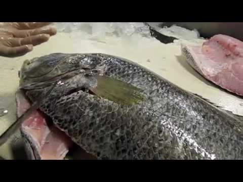 Wild Ocean - How to fillet a medium to large sized fish - YouTube