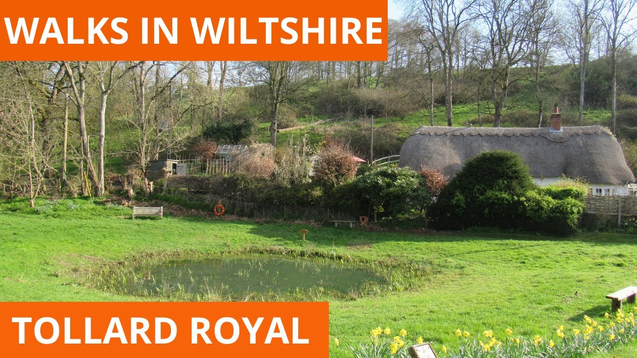 WALKS IN WILTSHIRE at TOLLARD ROYAL & WIN GREEN (CLOSE TO THE WILTSHIRE ...