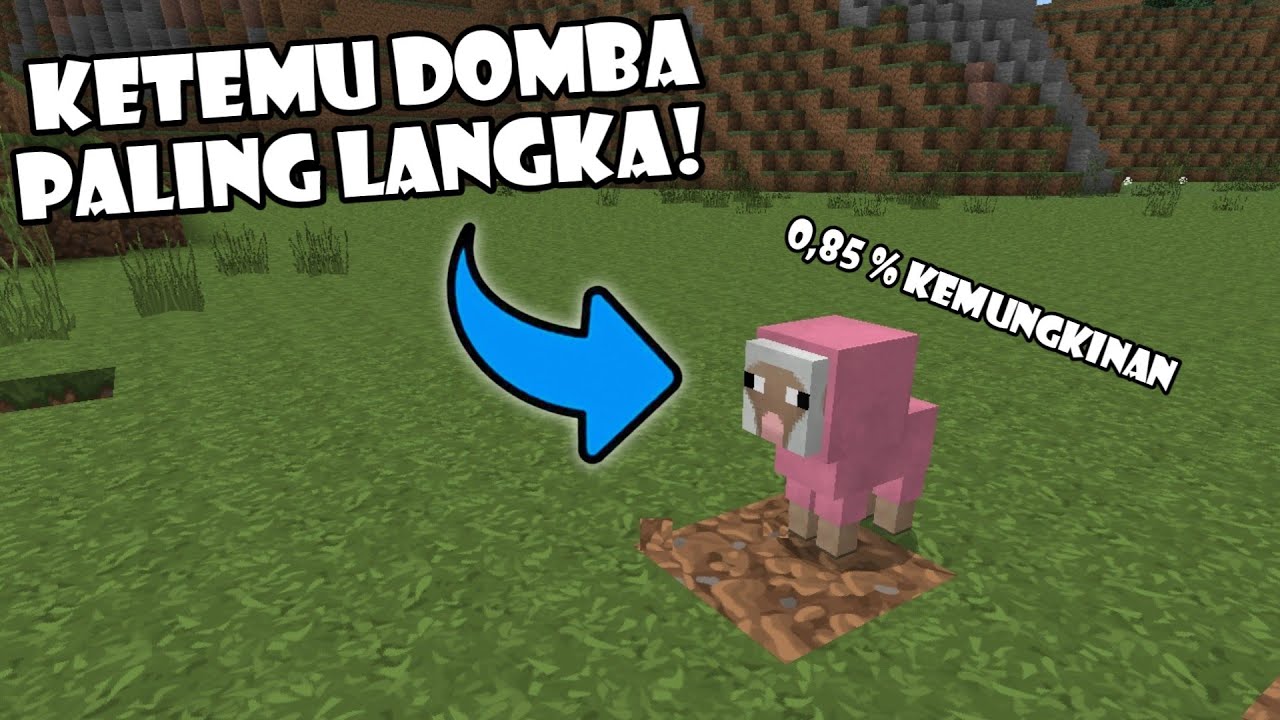 Gw Ketemu Domba Pink Di World Minecraft - YouTube