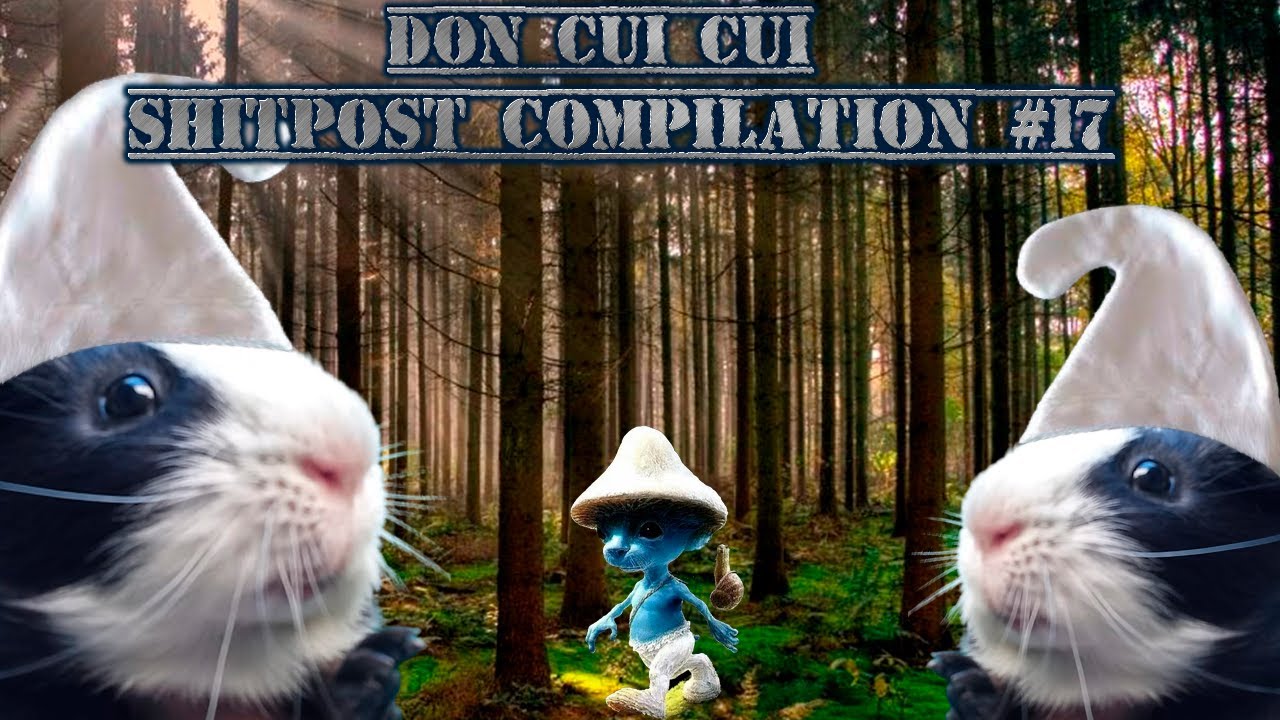 SHITPOST COMPILATION#17 - YouTube