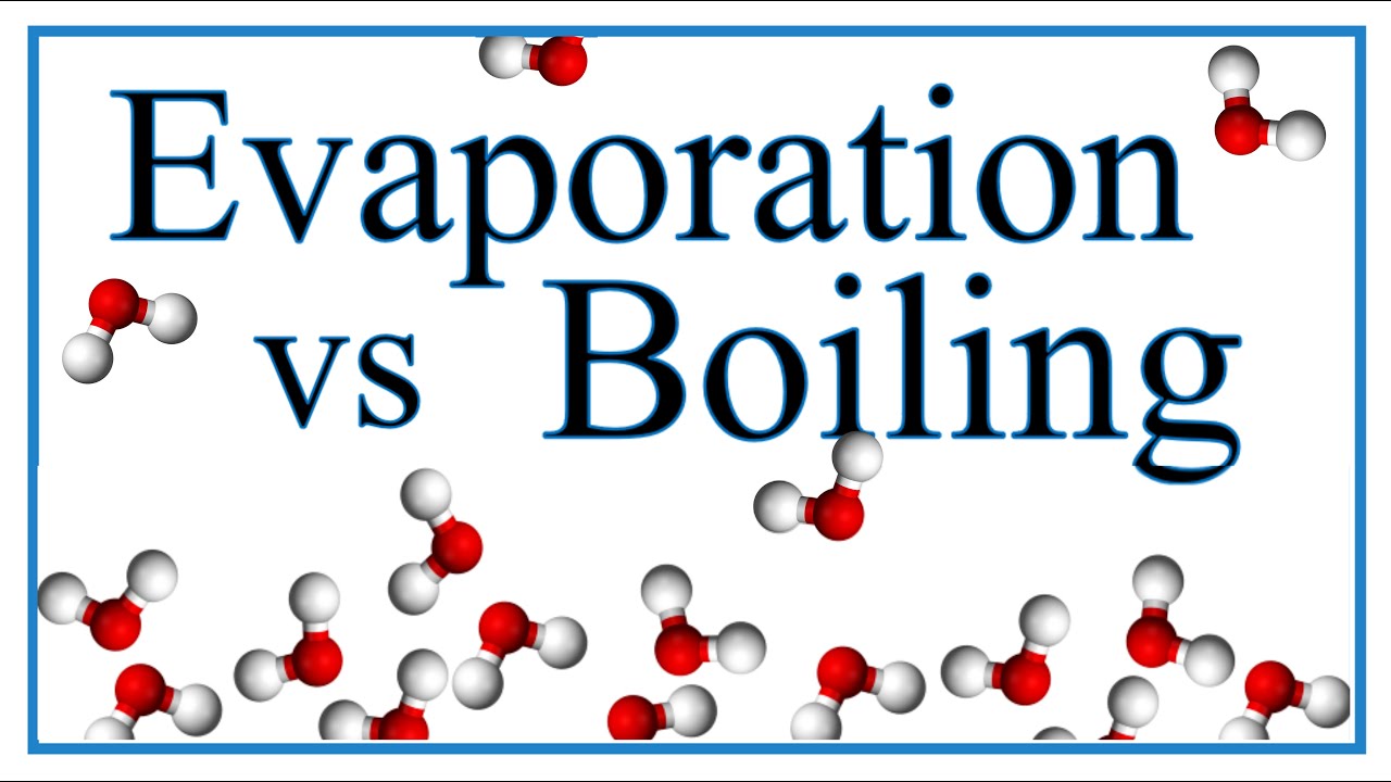 Boiling vs Evaporation (Definition, Examples, & Explanation) - YouTube