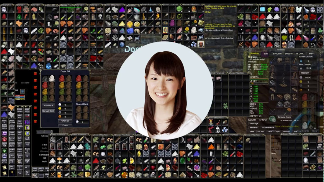 Tidying Your EverQuest Inventory With Checkboxes - YouTube