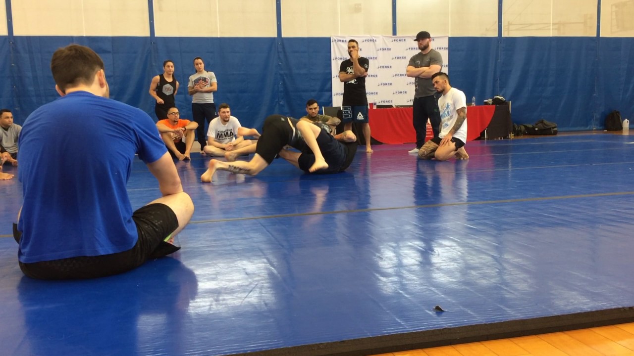 UFC MMA Seminar Okinawa Japan 3 March 2017 Risner Gym - YouTube
