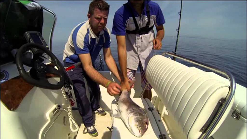 Strike...dentici a traina con Simone jig e Mirko traina - YouTube