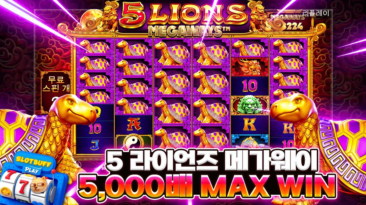 슬롯머신 슬롯잭팟 🔥프라그마틱 5 라이언즈 메가웨이즈 Max Win🔥 슬롯커뮤니티 슬롯버프 슬롯실시간 슬롯생방송 강원