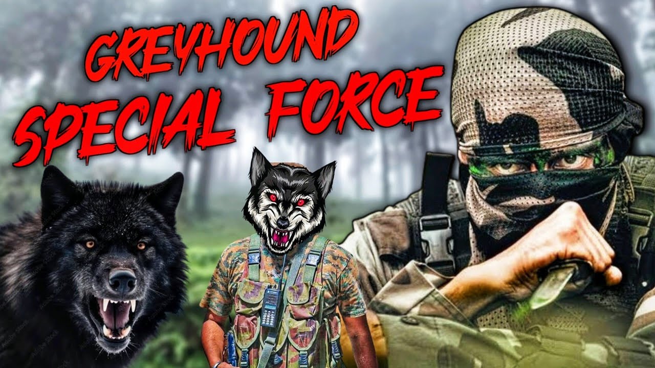 Greyhound Special Forces Commandos | Role | Training | Operations - YouTube