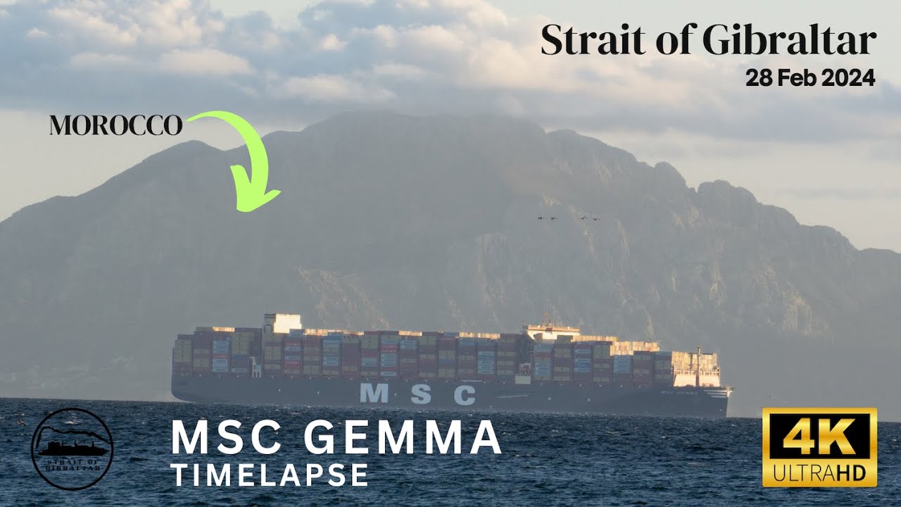 Timelapse Mega Container Ship MSC Gemma at Moving at Strait of ...