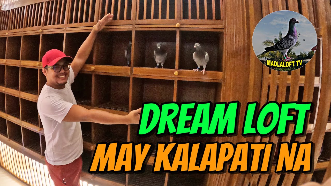 MADLA LOFT TV DREAM LOFT NILAGYAN NA NATIN NG KALAPATI - FIRST DREAM ...
