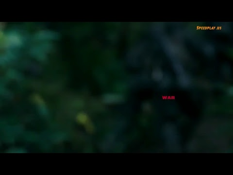Picture of Beauty Sexy hot  2017 Full Movie