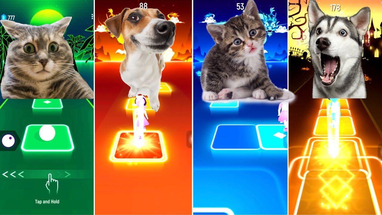 Tile Hop DOGS vs CATS - YouTube