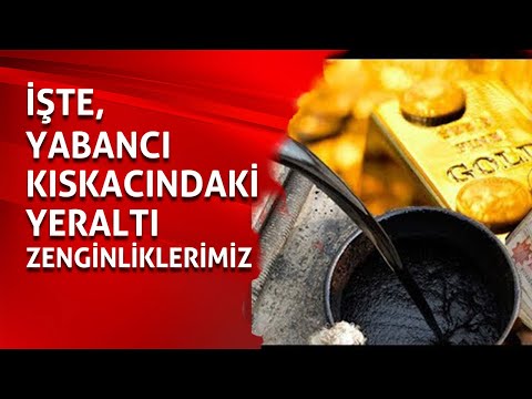 Türkiye enerjide nereye koşuyor? / Enerji Uzmanı Necdet Pamir /Petrol /Altın