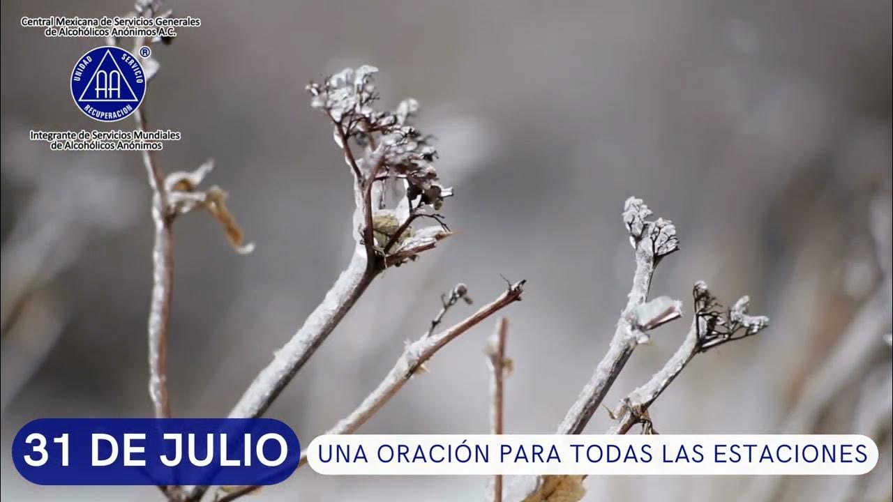 UNA ORACIÓN PARA TODAS LAS ESTACIONES - July 31 - YouTube