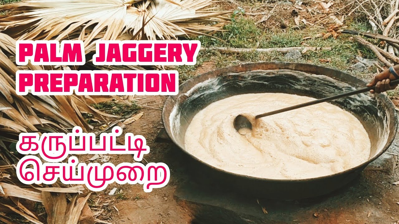 கருப்பட்டி செய்முறை Palm Jaggery Preparation (Traditional Method) - YouTube
