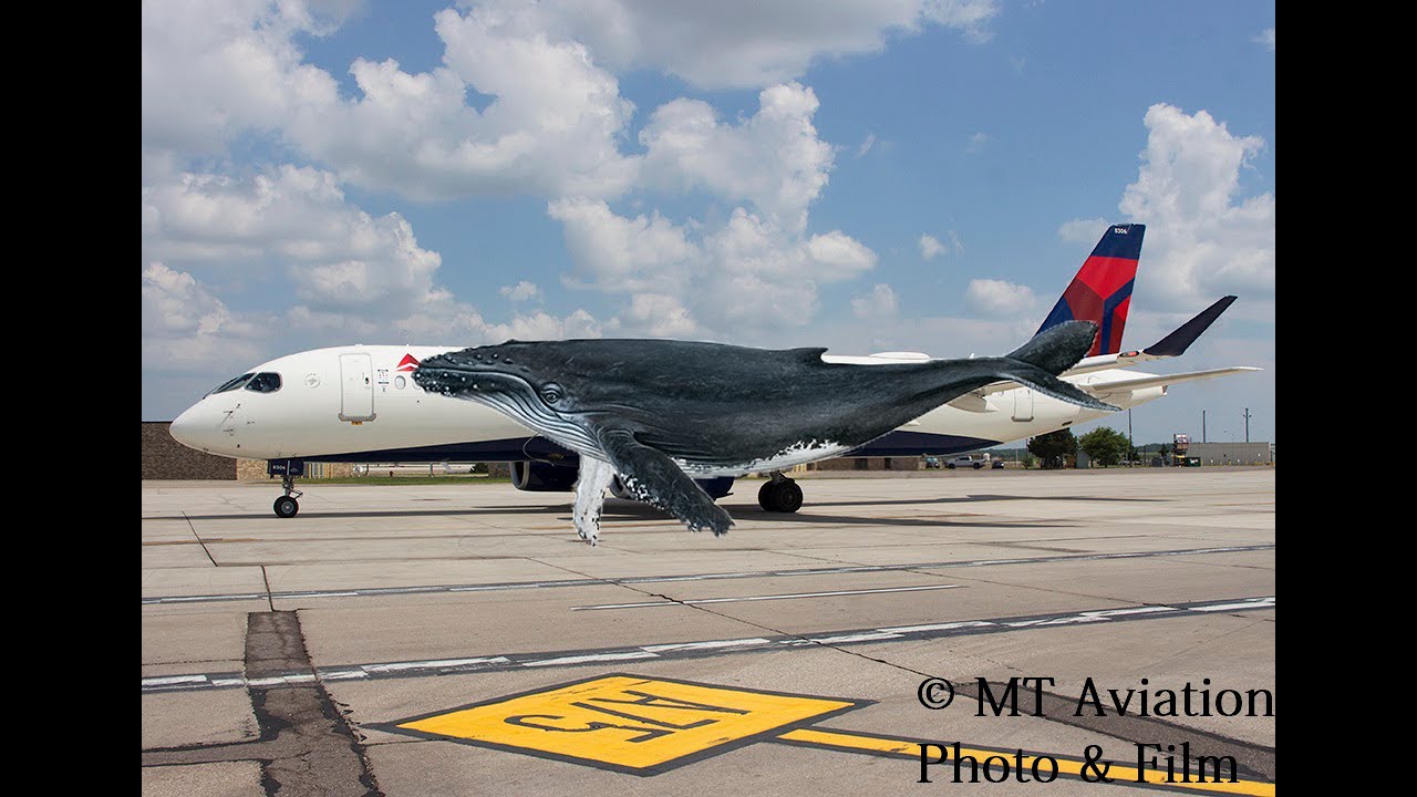 Aircraft Explained- The A220 and its whale tale - YouTube